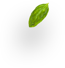 Al Nujoom Fruits & Vegetable Trading LLC