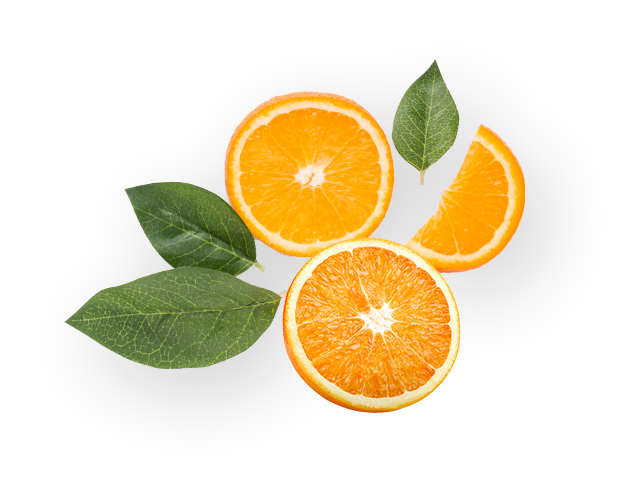 Al Nujoom Fruits & Vegetable Trading LLC