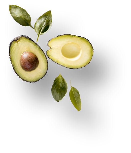 Al Nujoom Fruits & Vegetable Trading LLC